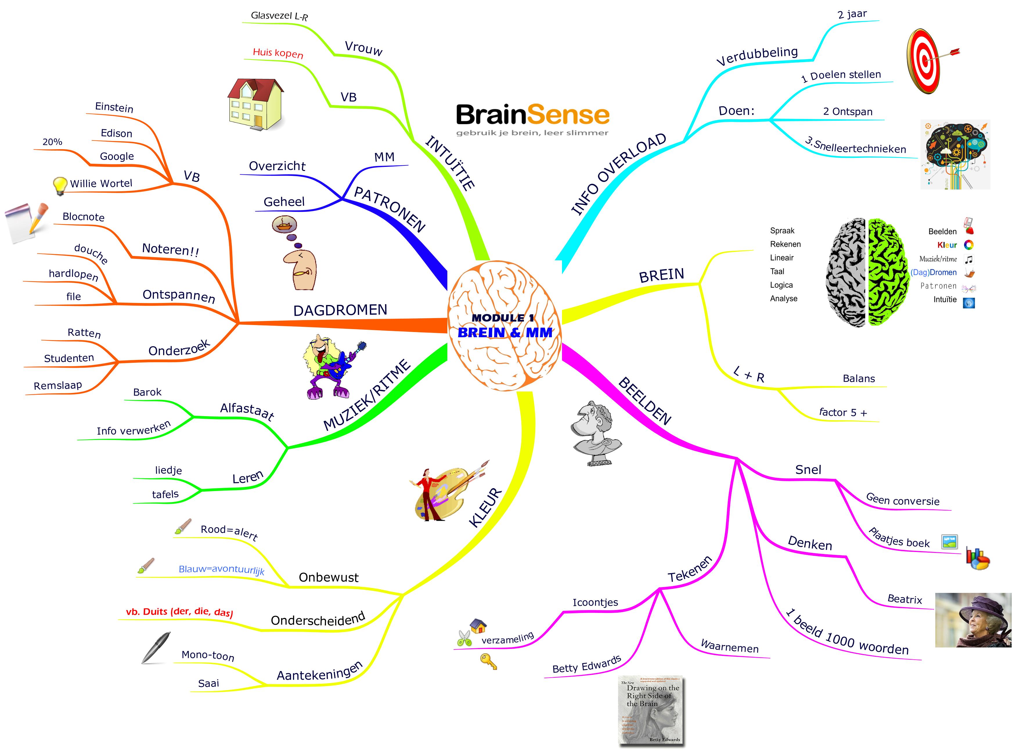 Brein en Mindmappen | BrainSense
