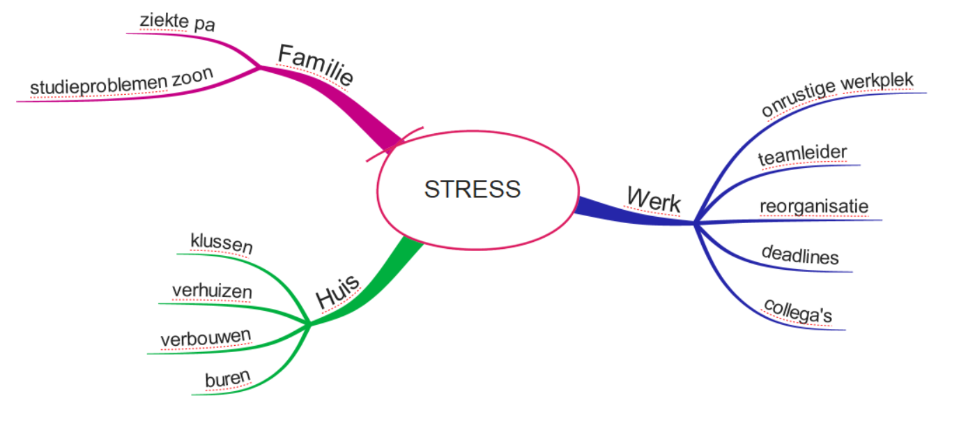Brein en Mindmappen Follow-up 2 | BrainSense